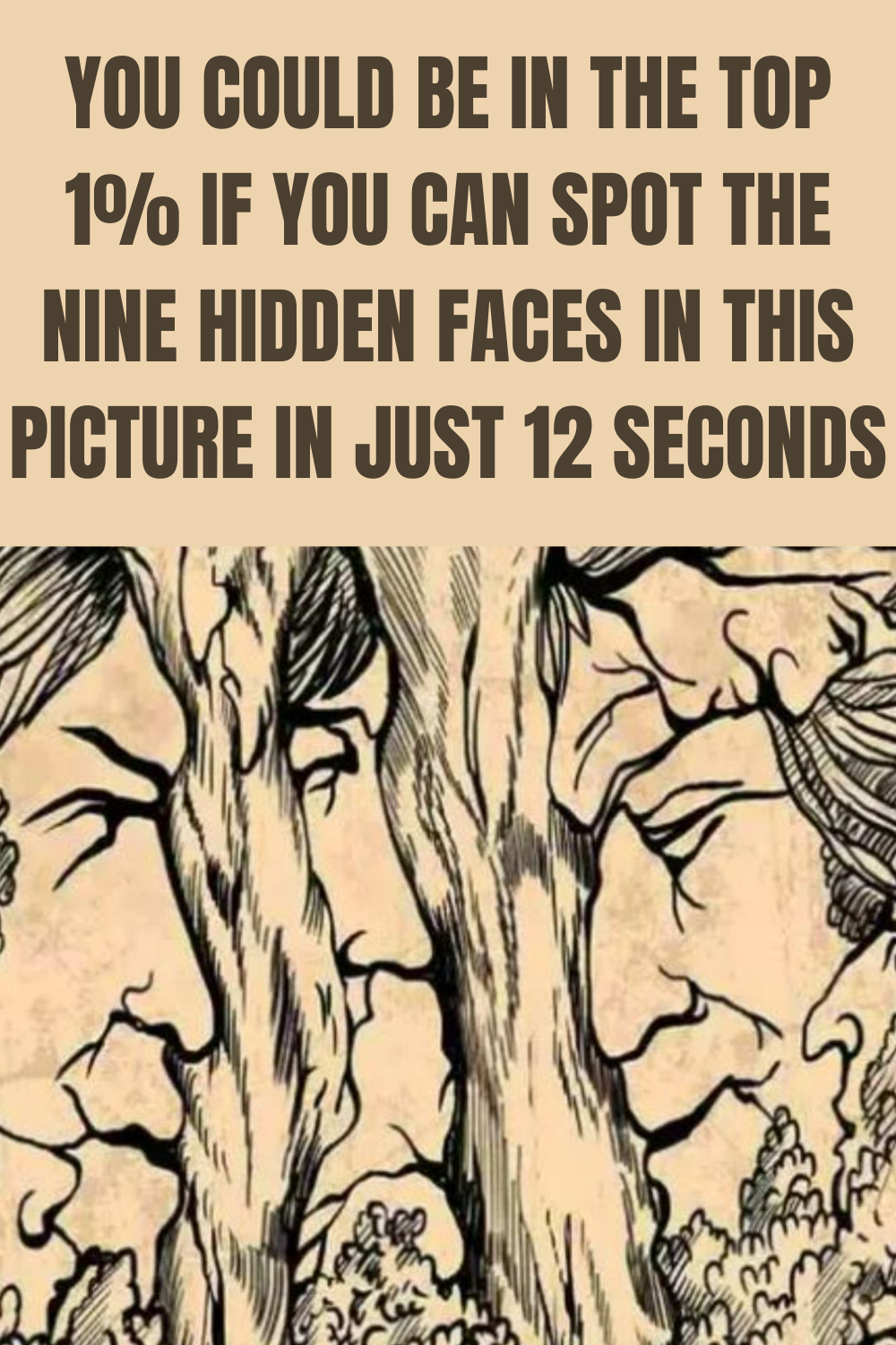 You could be in the top 1% if you can spot the nine hidden faces in ...