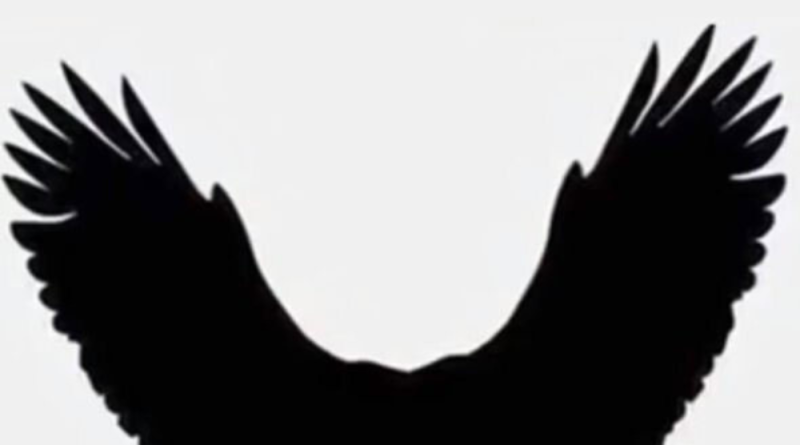 Optical illusion is ‘scary' as it is incredibly accurate at discovering ...