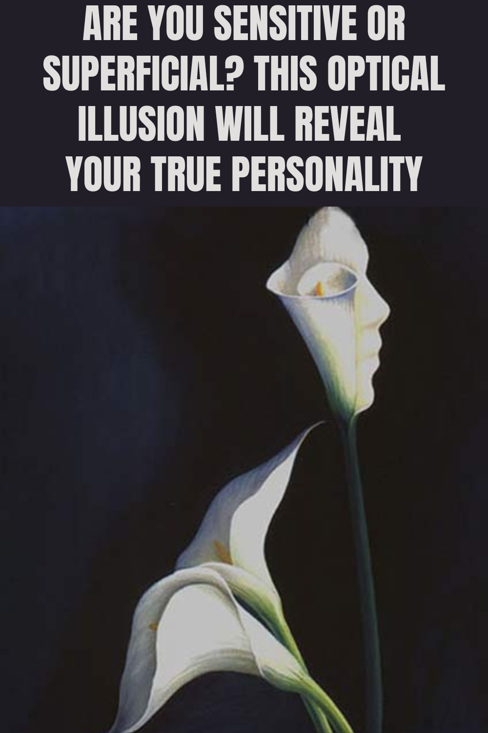 Are You Sensitive Or Superficial? This Optical Illusion Will Reveal ...