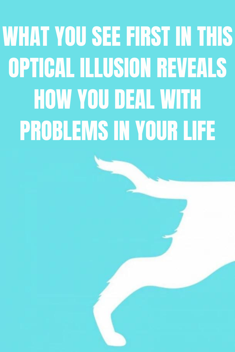 What You See First In This Optical Illusion Reveals How You Deal With ...