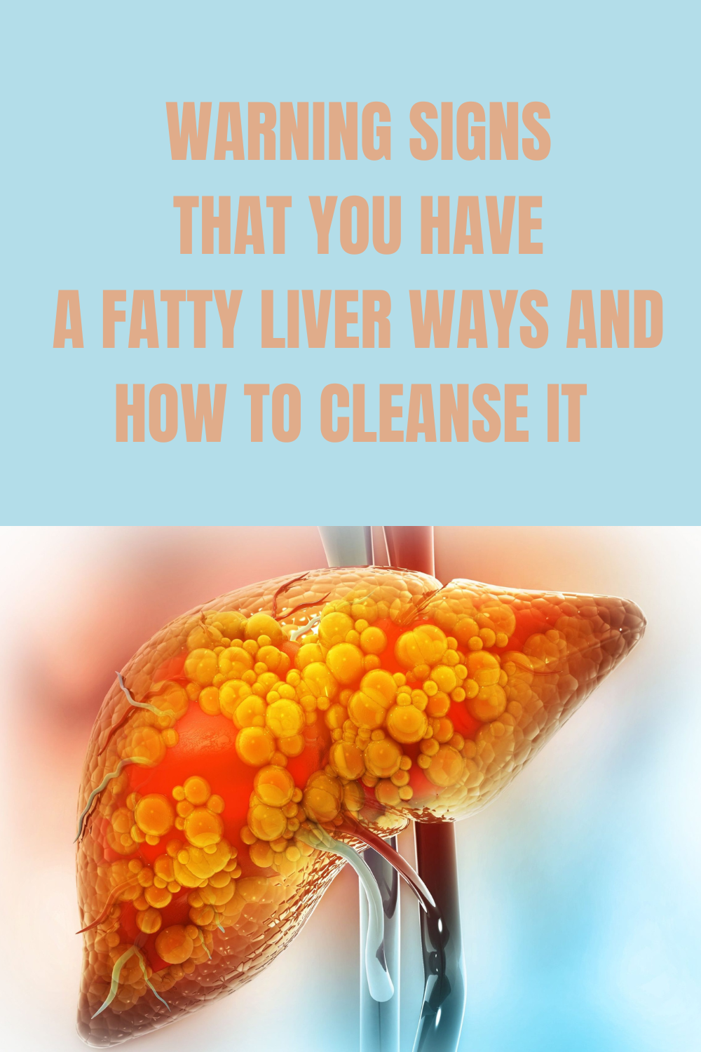 Warning Signs That You Have A Fatty Liver Ways And How To Cleanse It ...