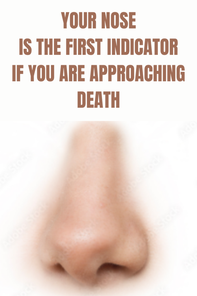 Your Nose is the First Indicator if You are Approaching Death - Daily ...